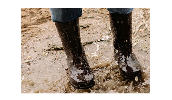 An Easy and Inexpensive Boot Bath Sanitizer for Your Chicken Coop ...