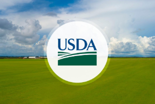 USDA Launches New Support Plan for Small Meat and Poultry Processors ...