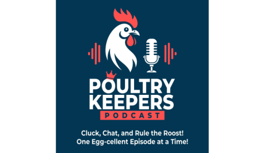 Selecting Dual Purpose Chickens: Hands-on Traits That Matter for Meat ...